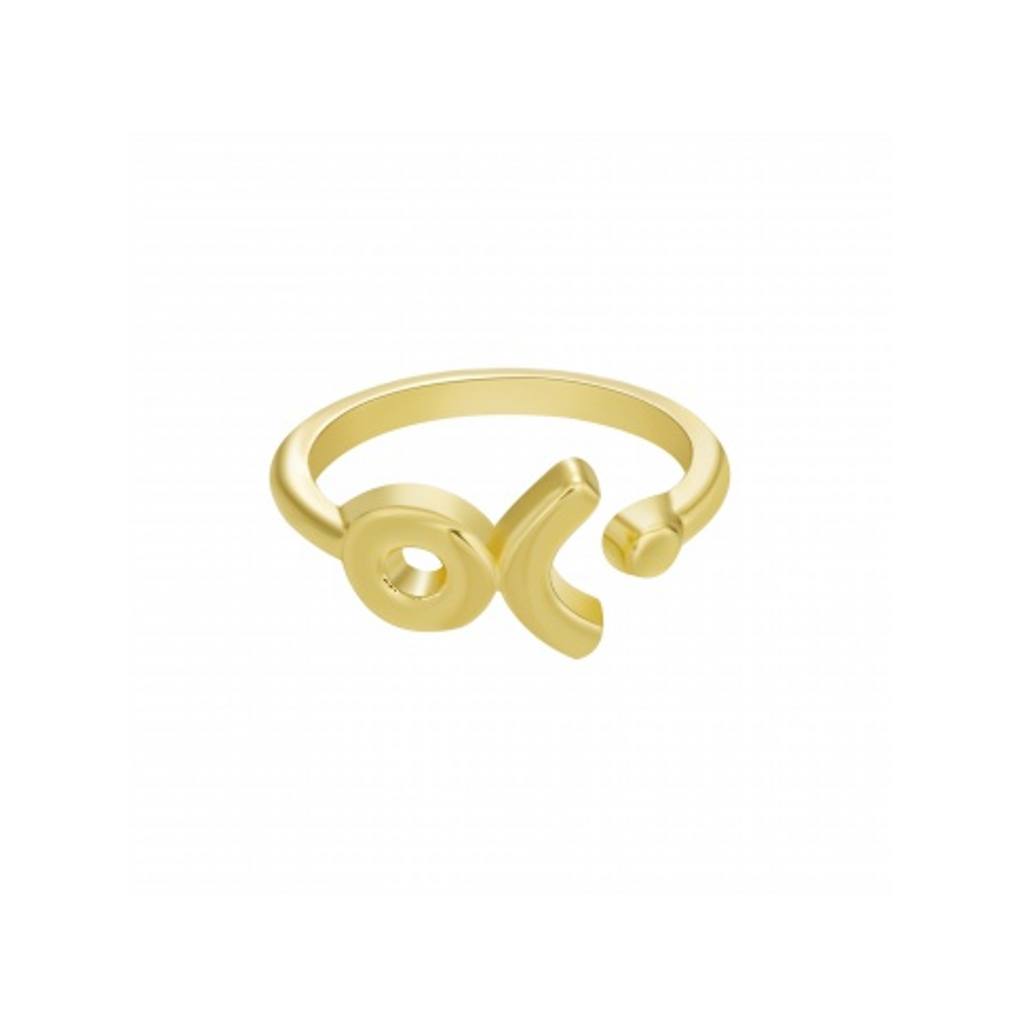Zodiac Sign Rings - Taurus - Gold – The Ambition Collective